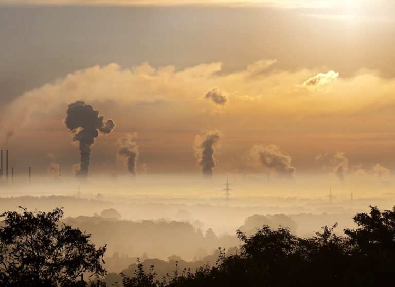 Environmental Issues We Face Today and their Impact