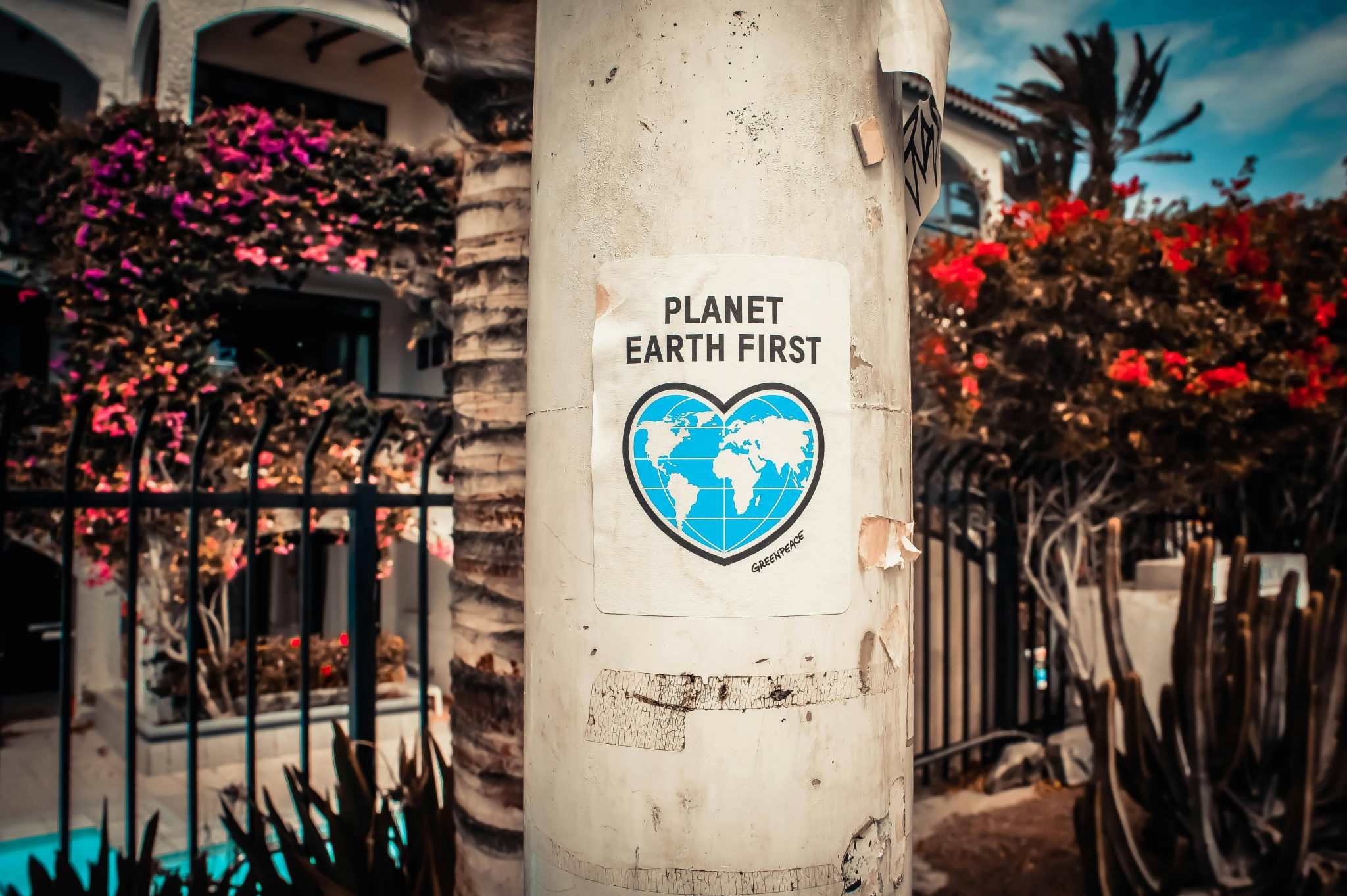 Raising Environmental Awareness: How Communities can...